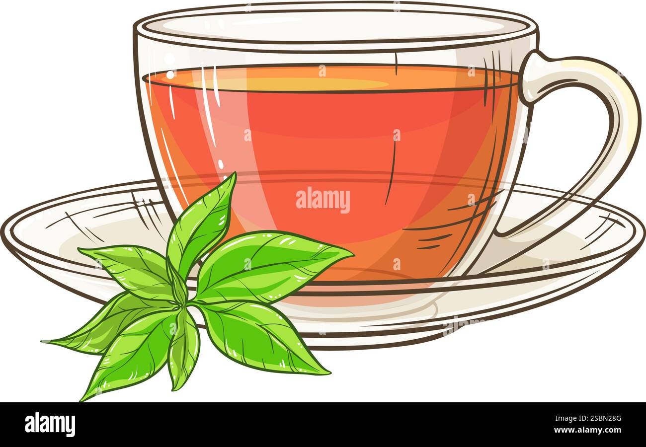 Cup of Tea Colored Vector Illustration Stock Vector Image & Art - Alamy