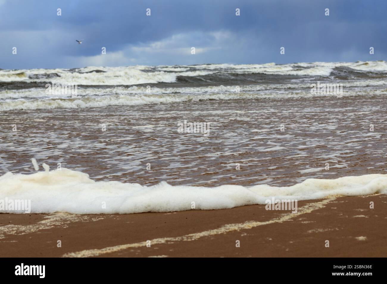 visible foam forming on the surface of the water Stock Photo - Alamy