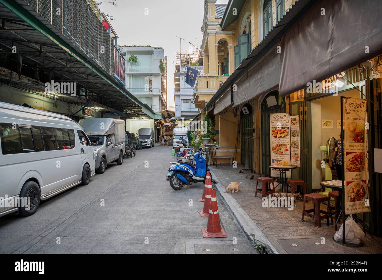 Bangkok cat, market, street market Stock Photo - Alamy