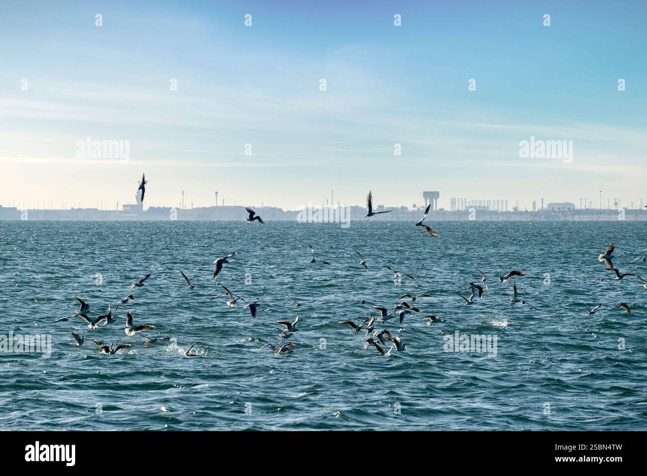 Doha, Qatar - January 03, 2025: Mina port doha corniche Qatar Stock ...