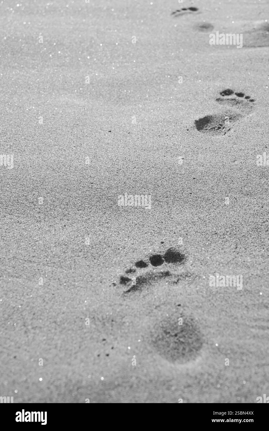 Foot travel Black and White Stock Photos & Images - Alamy