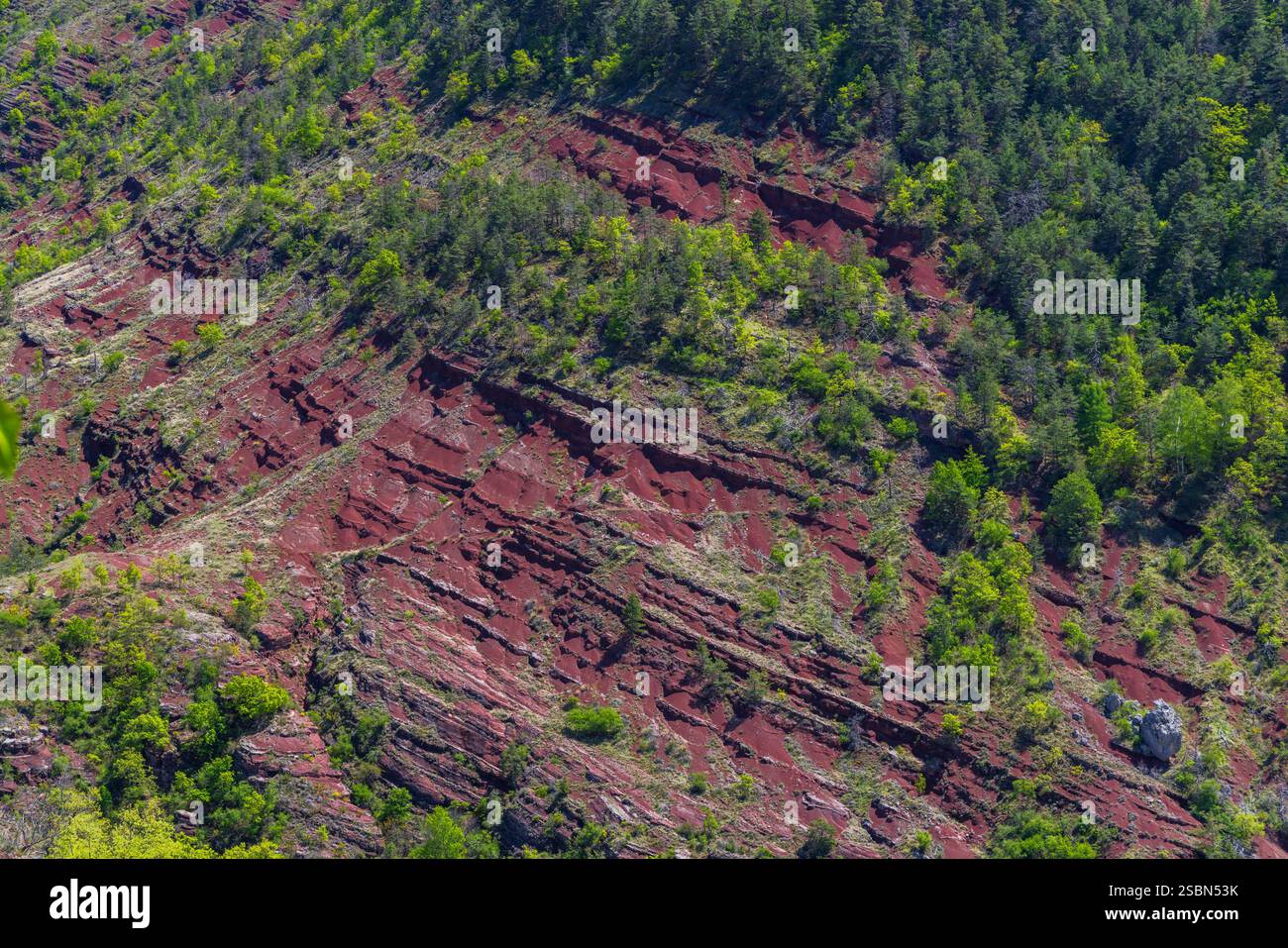 Gorges Du Daluis Regional Nature Reserve, Var river, Alpes-Maritimes ...