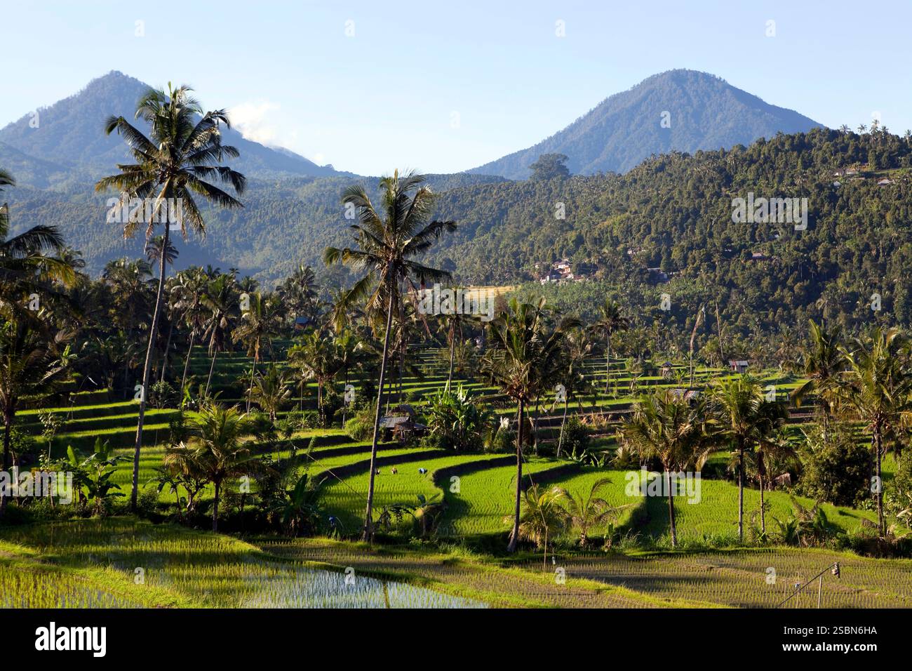 The Jatiluwih rice terraces comprise over 600 hectares of rice fields ...