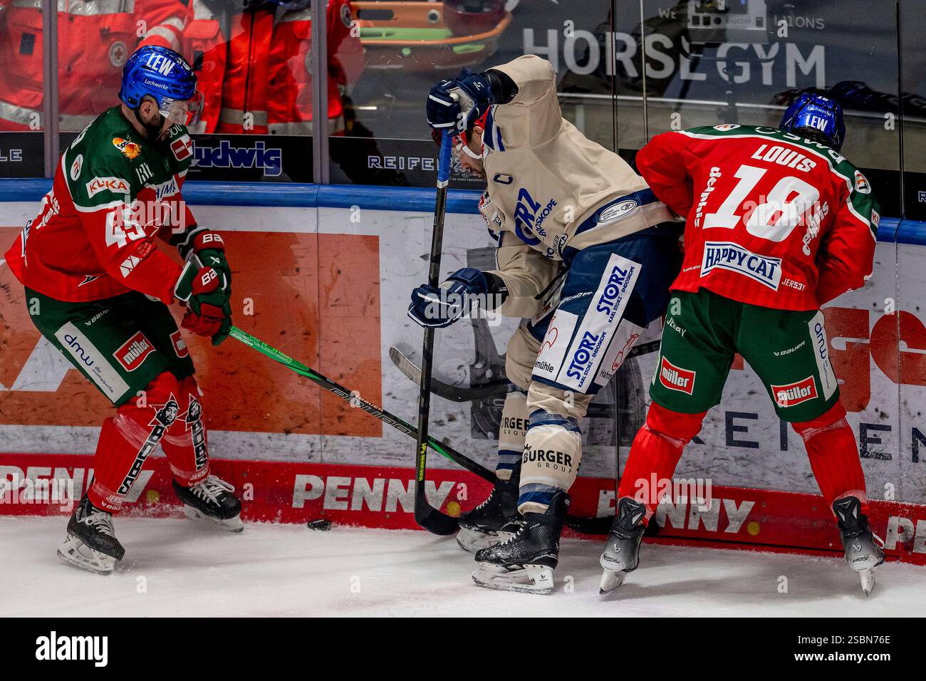 Augsburg, Deutschland. 02nd Feb, 2025. Kampf um den Puck von Daryl ...
