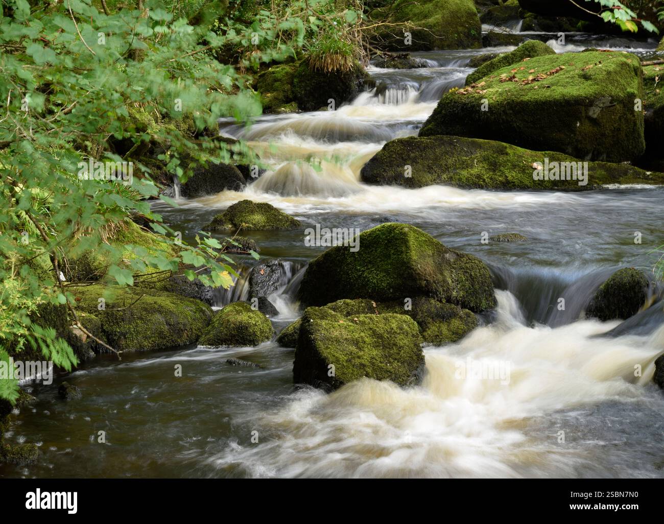 Fast flowing river uk hi-res stock photography and images - Alamy
