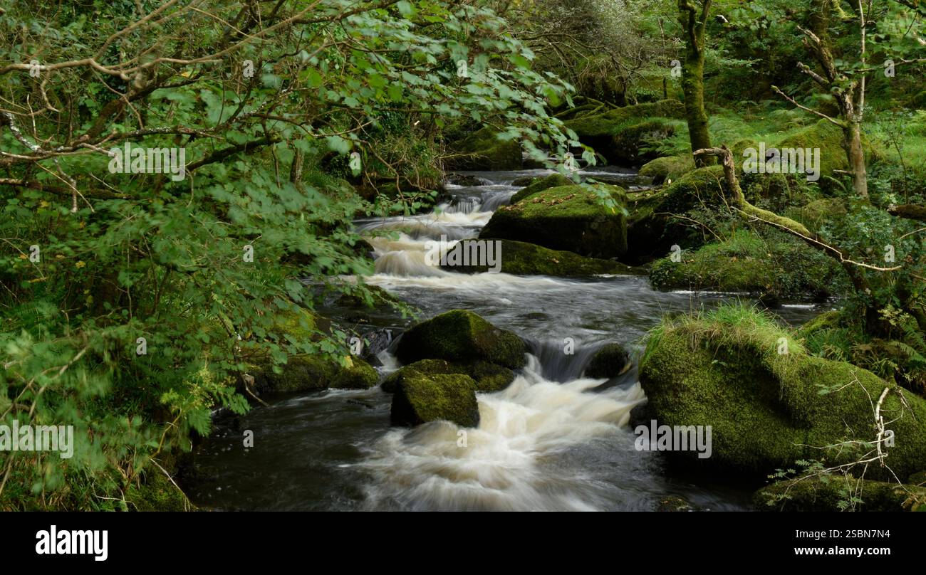 Lank hi-res stock photography and images - Alamy