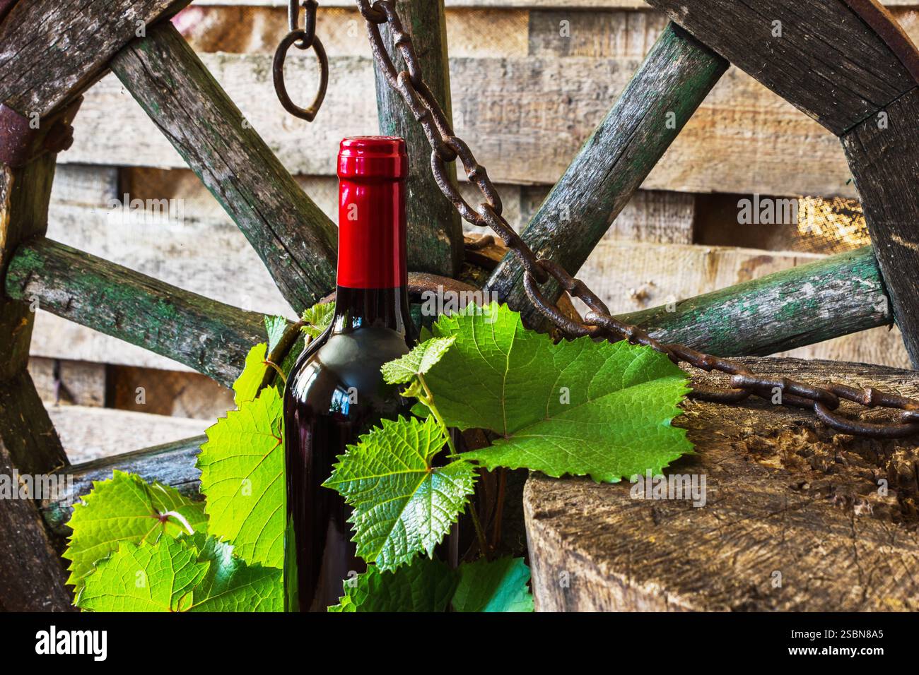 A bottle of wine on the background of the vine in a vintage entourage ...