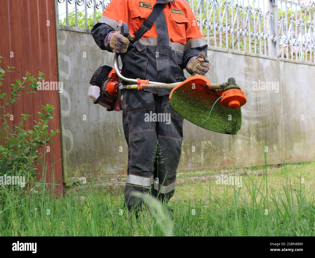 worker in special clothing with raised petrol lawn mower mows tall ...