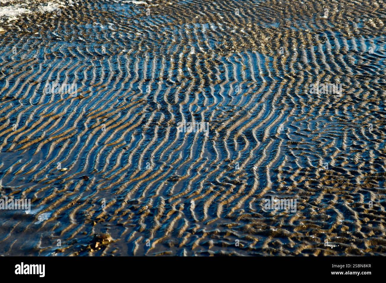 Horizontal photo of wet ripples in beach sand Stock Photo - Alamy