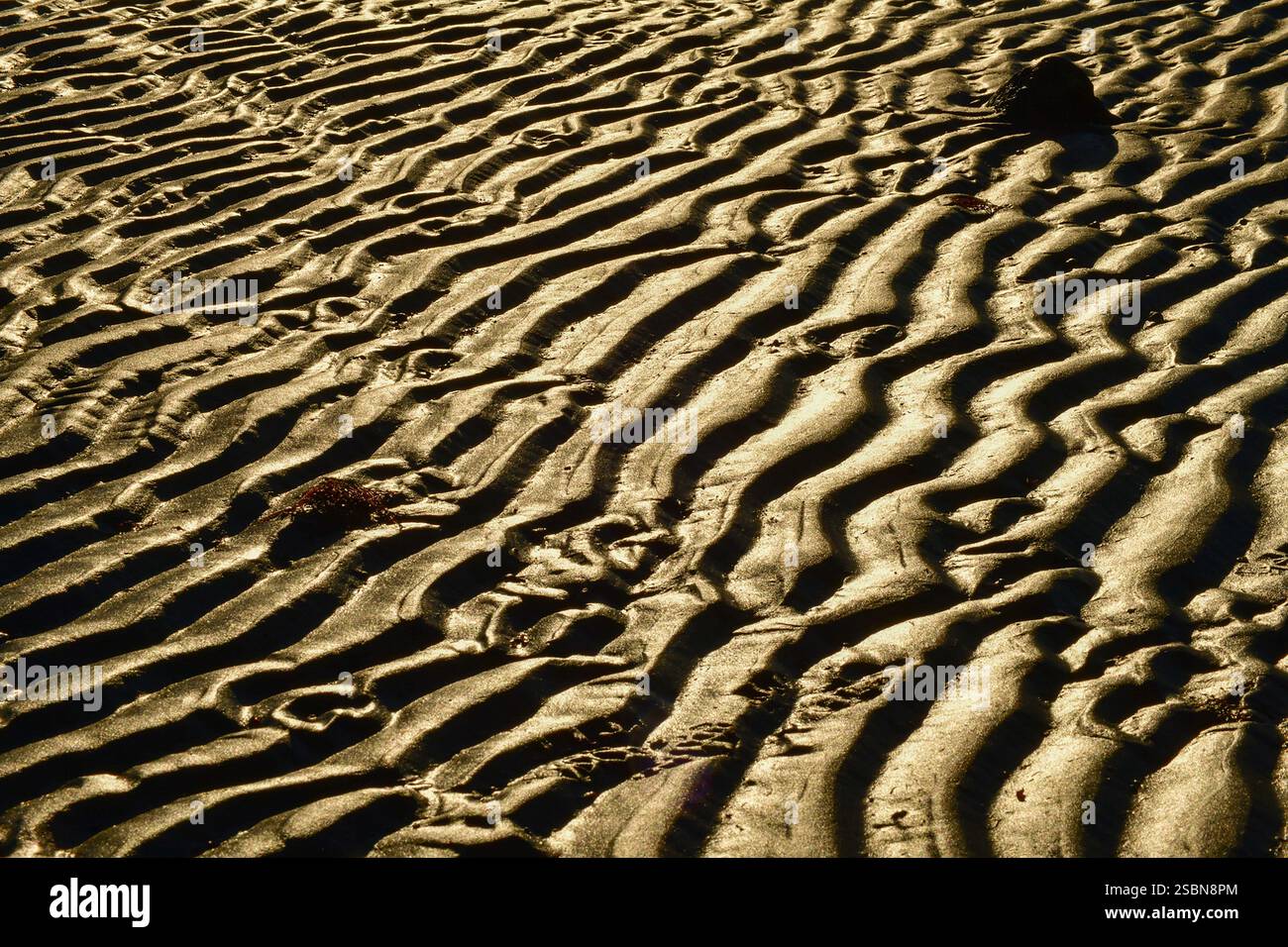 Abstract patterns from waves in sand. Ripples on beach. Golden tones ...