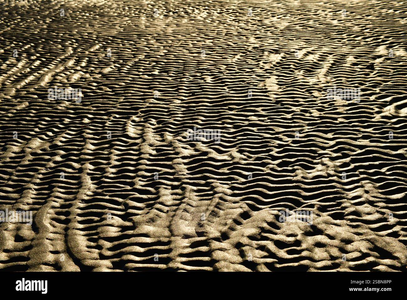 Ripples shaped from ocean waves in sand. Sand filling the whole ...