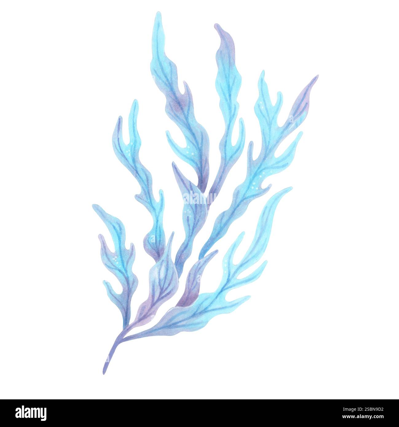 Blue underwater seaweed branch. Watercolor, marker illustration. Hand ...