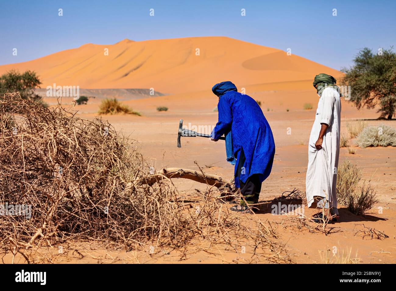 The Tuareg and People of the Sahara Desert in Algeria Stock Photo - Alamy