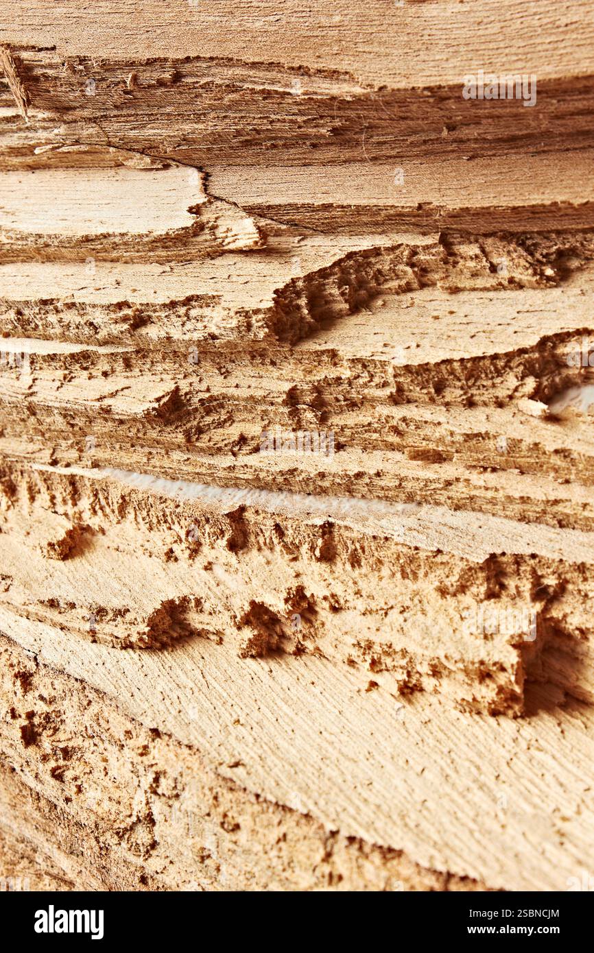 background texture of the wood split logs Stock Photo - Alamy