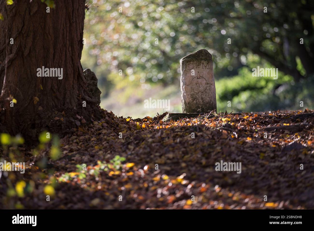 Roman mile markers hi-res stock photography and images - Alamy