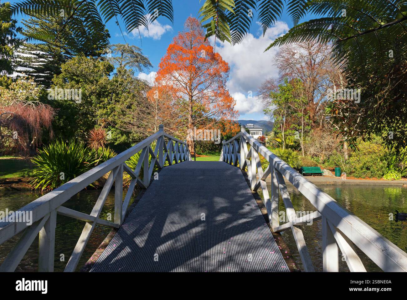New Zealand, South Island, Miyazu Japanese Garden, Nelson, Nelson ...