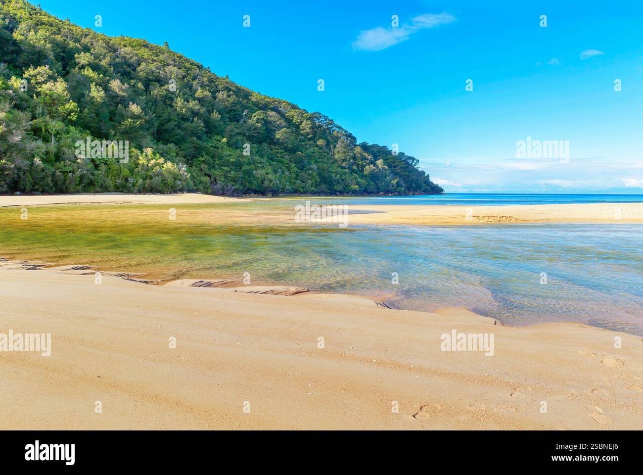 New Zealand, South Island, Bark Bay, Abel Tasman National Park, Nelson ...
