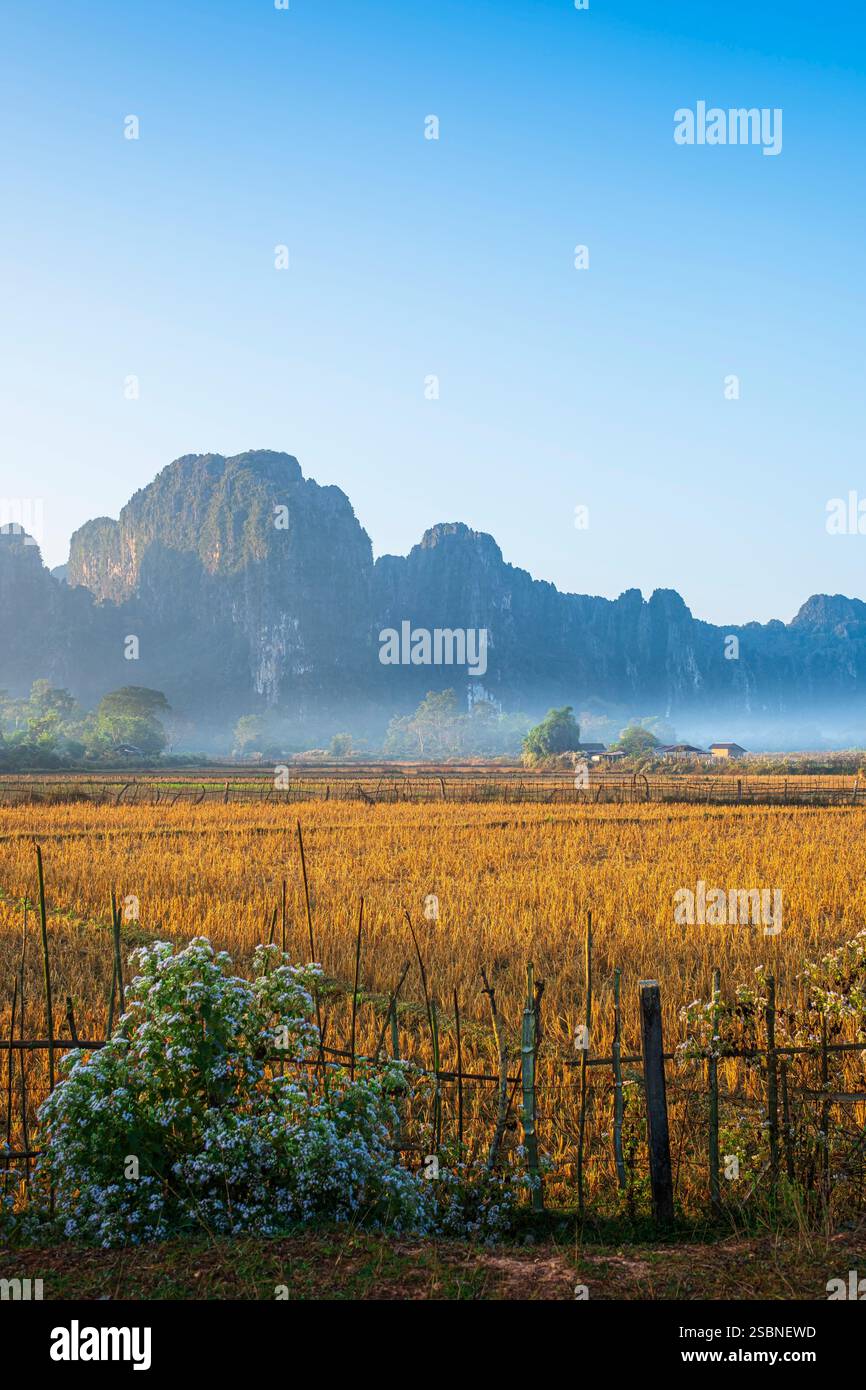 Laos, Vientiane province, Vang Vieng, landscape of karst peaks in the ...