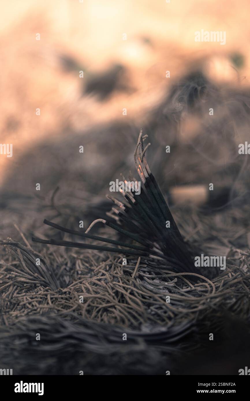 Japan, Honshu, Tokyo, Asakusa district, Senso-ji Shrine on a November ...
