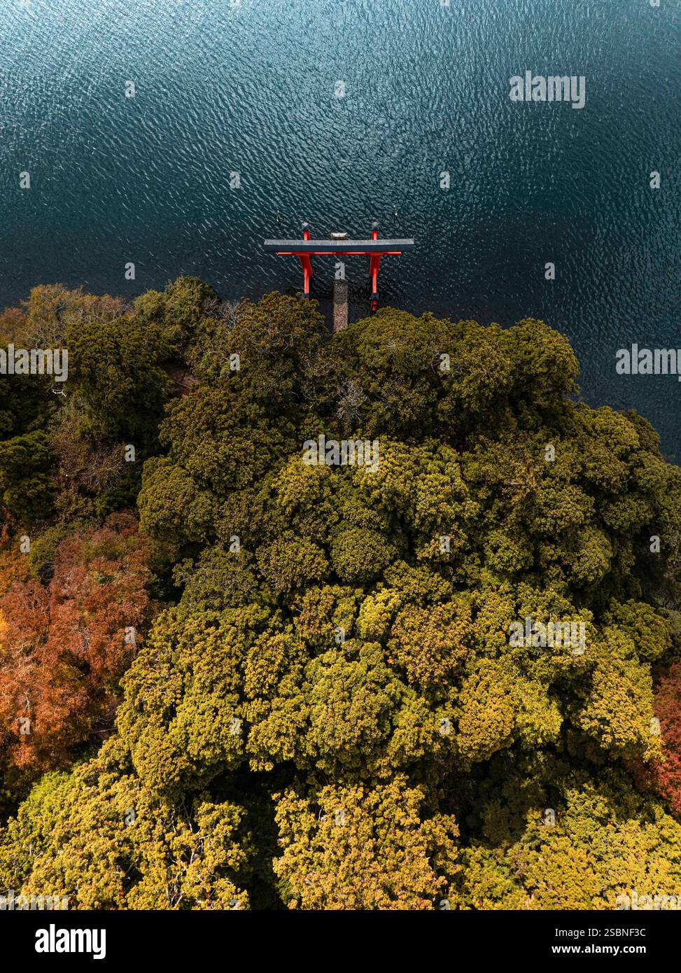 Japan, Honshu, Hakone, aerial view of the torii of Hakone Jinja Shrine ...