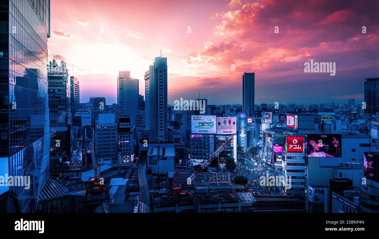 Japan, Honshu, Tokyo, night view of Shibuya Scramble pedestrian ...