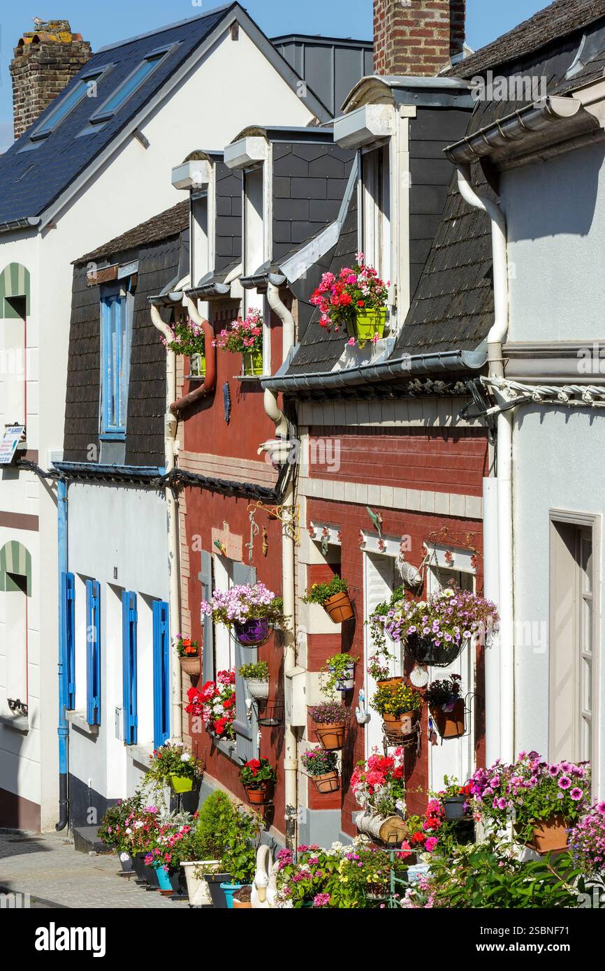 France, Somme, Baie de Somme (bay of Somme), parc naturel regional Baie ...