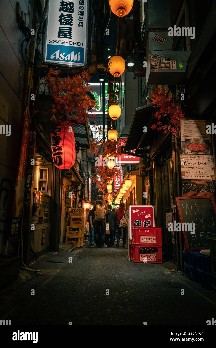 Japan, Honshu, Tokyo, nightlife and entertainment of Omoide Yokocho ...