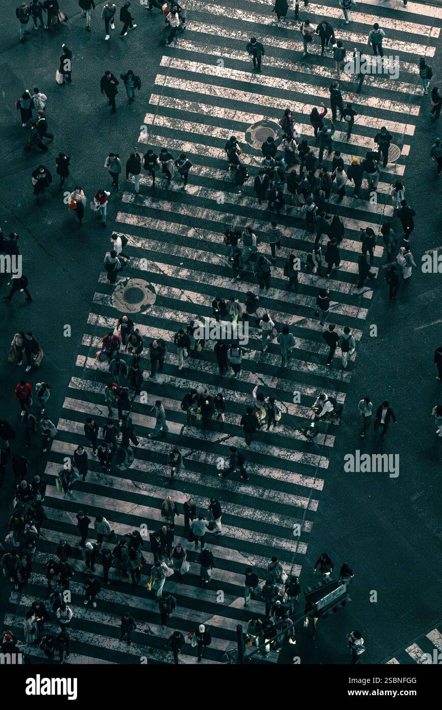 Japan, Honshu, Tokyo, night view of Shibuya Scramble pedestrian crossing, from Shibuya Sky Tower ...