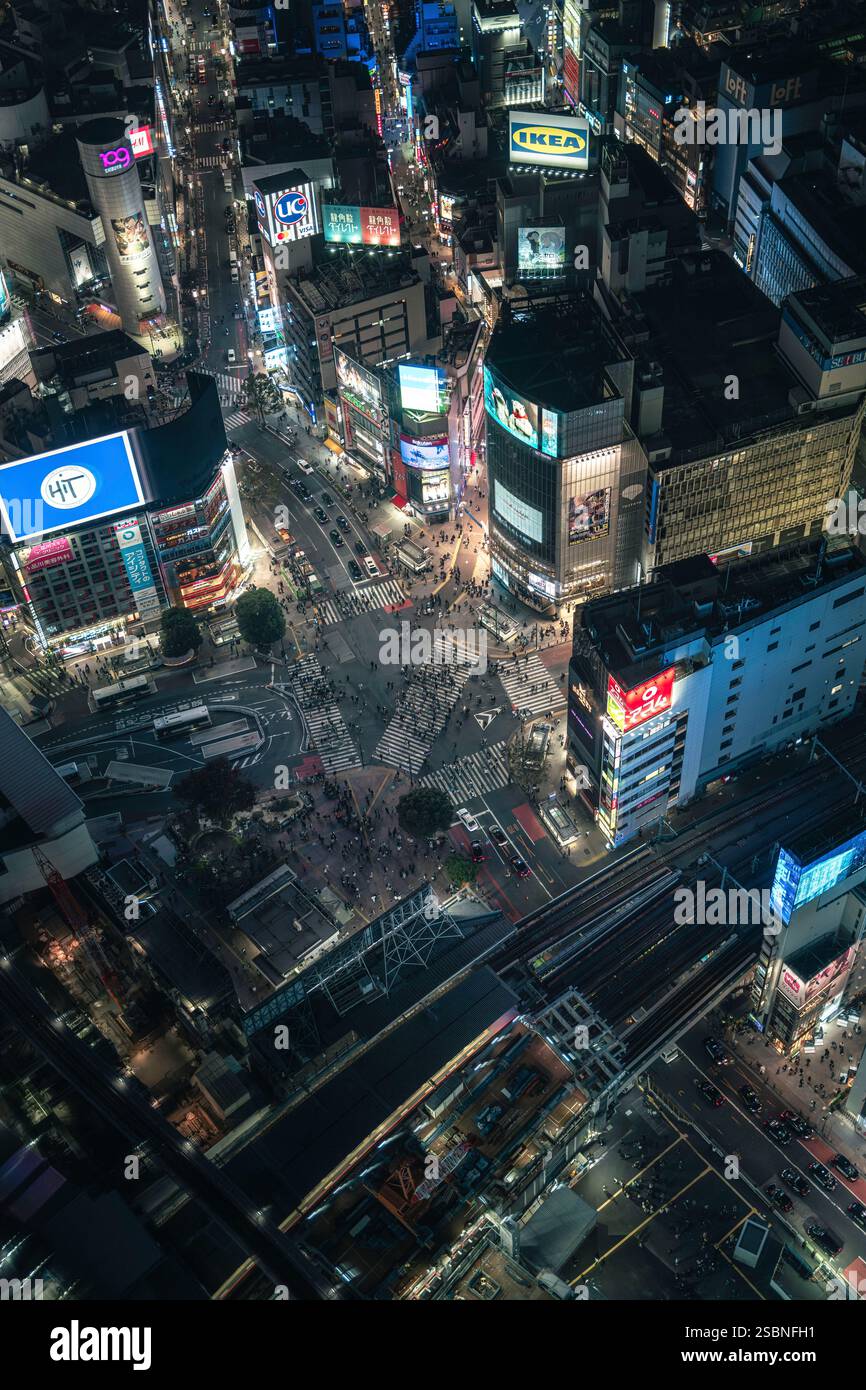 Japan, Honshu, Tokyo, night view of Shibuya Scramble pedestrian ...