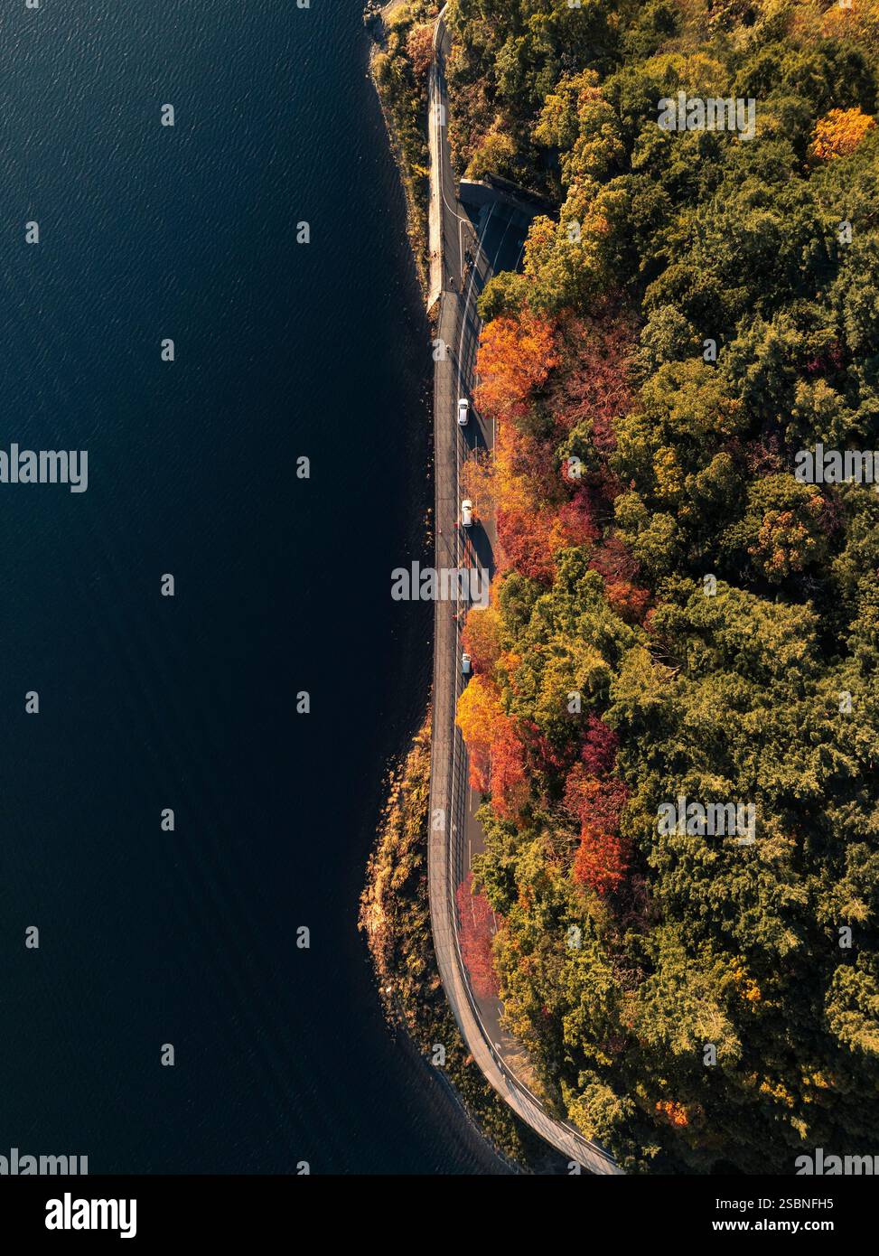 Japan, Honshu, Kawaguchiko, aerial view of the shores of Lake Kawaguchi (aerial view Stock Photo ...