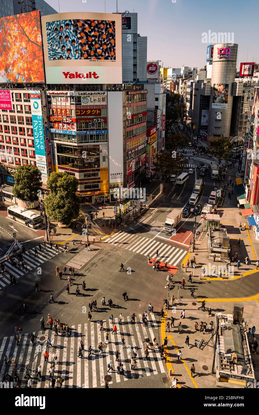 Japan, Honshu, Tokyo, day view of Shibuya Scramble pedestrian crossing ...