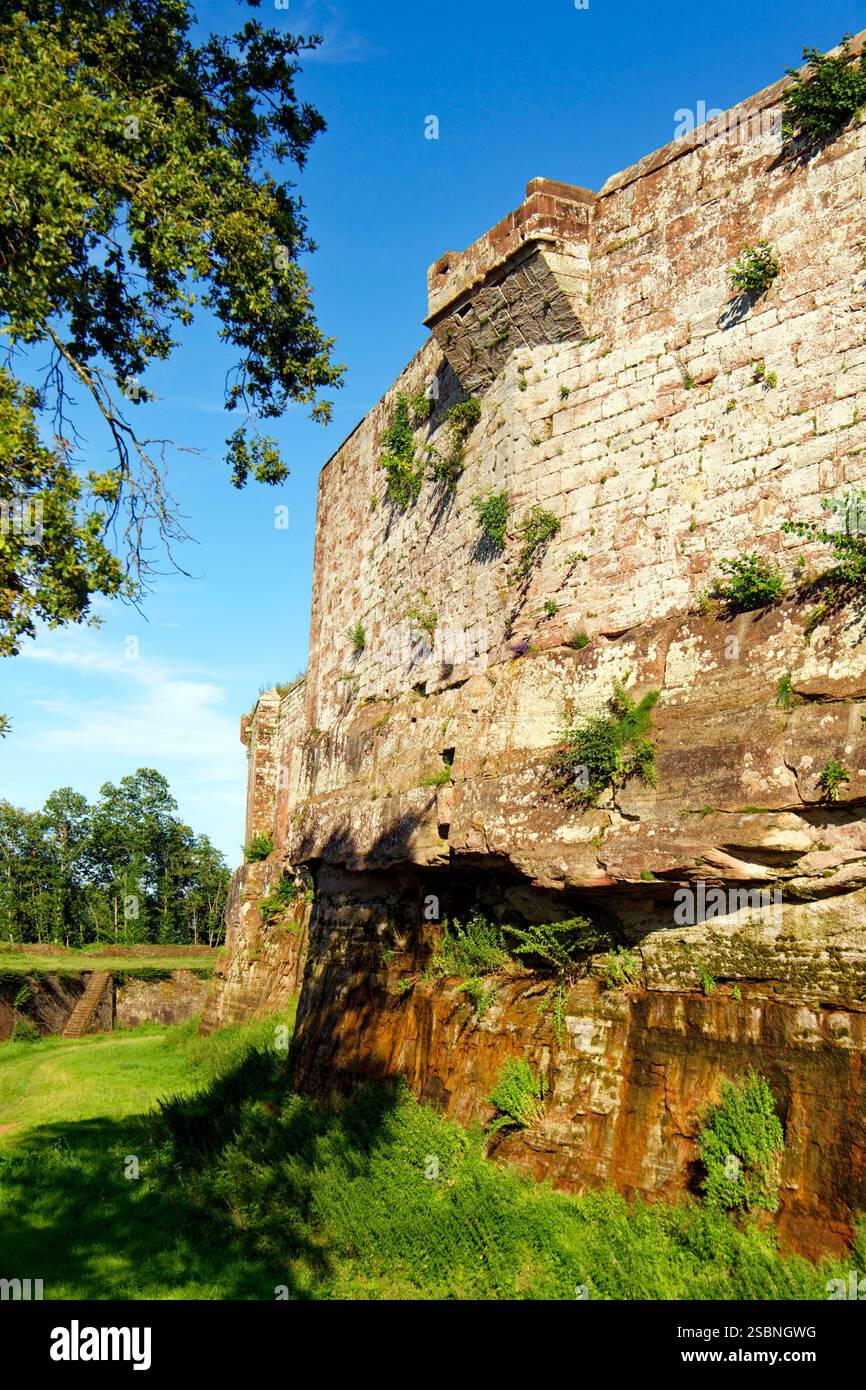 France, Bas Rhin, Parc Naturel Regional des Vosges du Nord (Northern ...