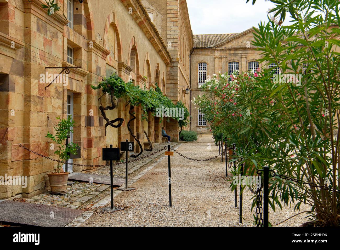 France, Aude, Corbieres Fenouilledes Regional Natural Park, Lagrasse ...
