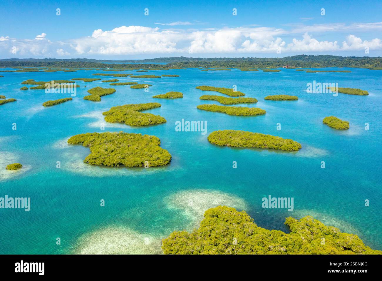 Panama, Bocas del Toro, Isla Bastimentos National Marine Park, aerial ...