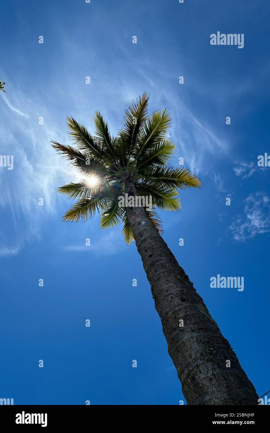 Mount Hagen, Highlands region, Papua New Guinea Stock Photo - Alamy