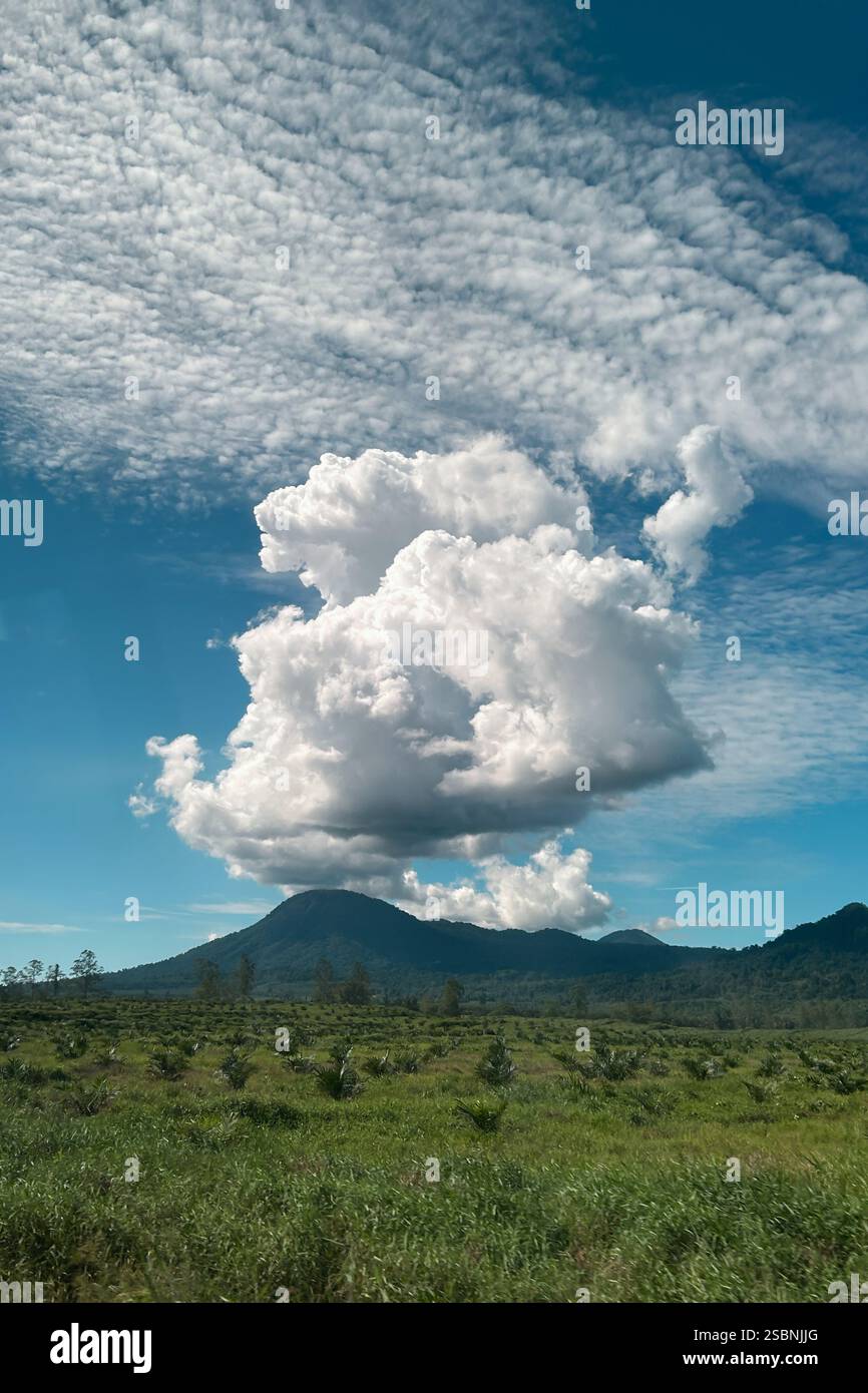 Natural landscape of Kimbe Bay, Willaumez Peninsula, New Britain, Papua ...