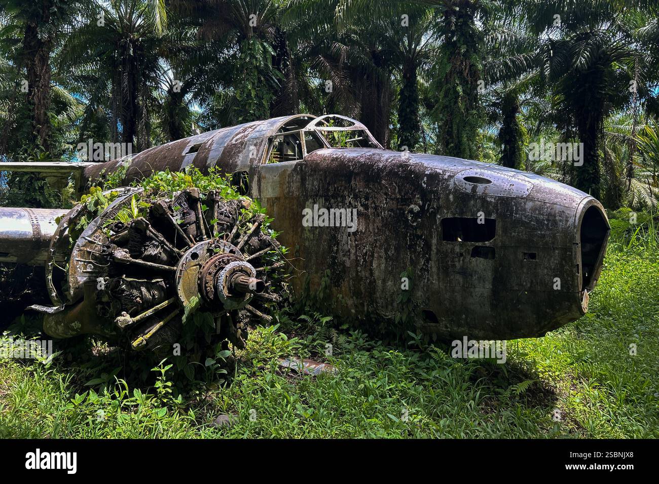 American B-25H bombers plane wreck from World War II in Talasea Forest ...
