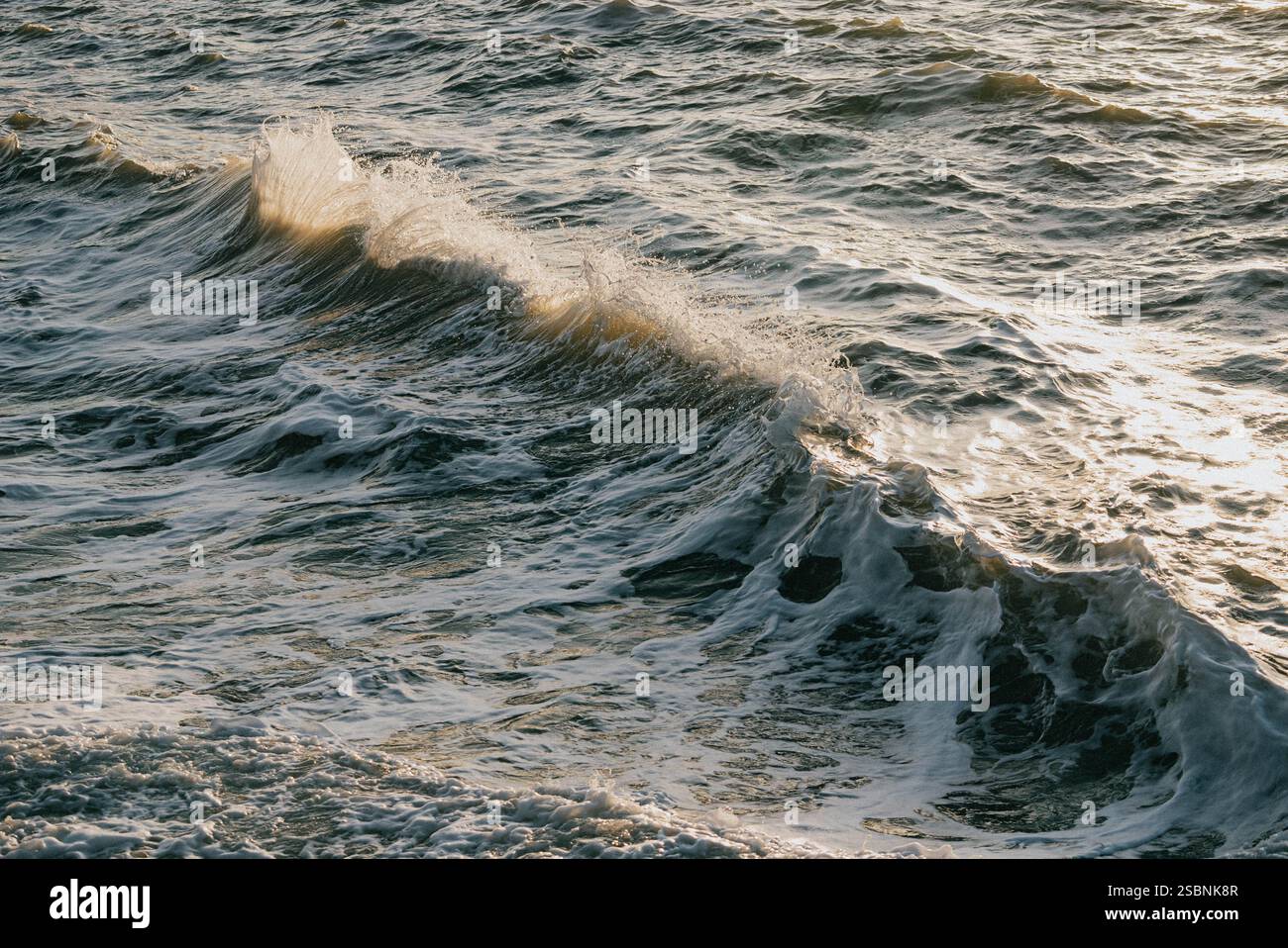 The ocean is calm and the waves are small. The water is a deep blue ...