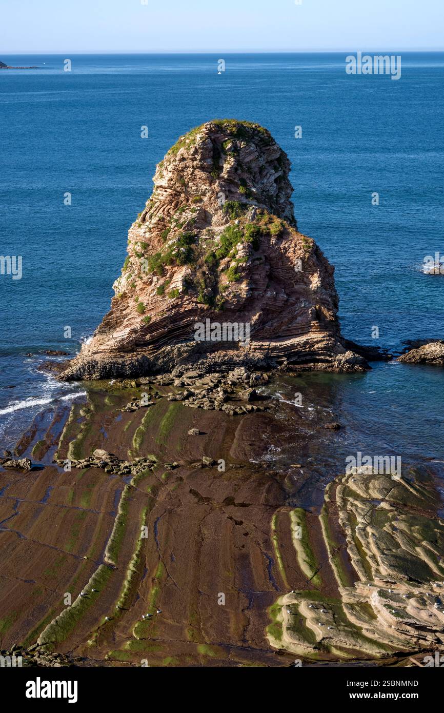 France, Pyrenees Atlantiques, Basque Country coast, the Abbadia estate ...