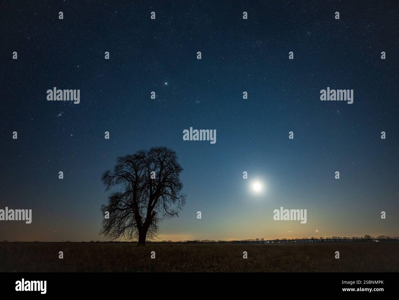 Lietzen, Germany. 03rd Feb, 2025. The moon lights up the night and many ...