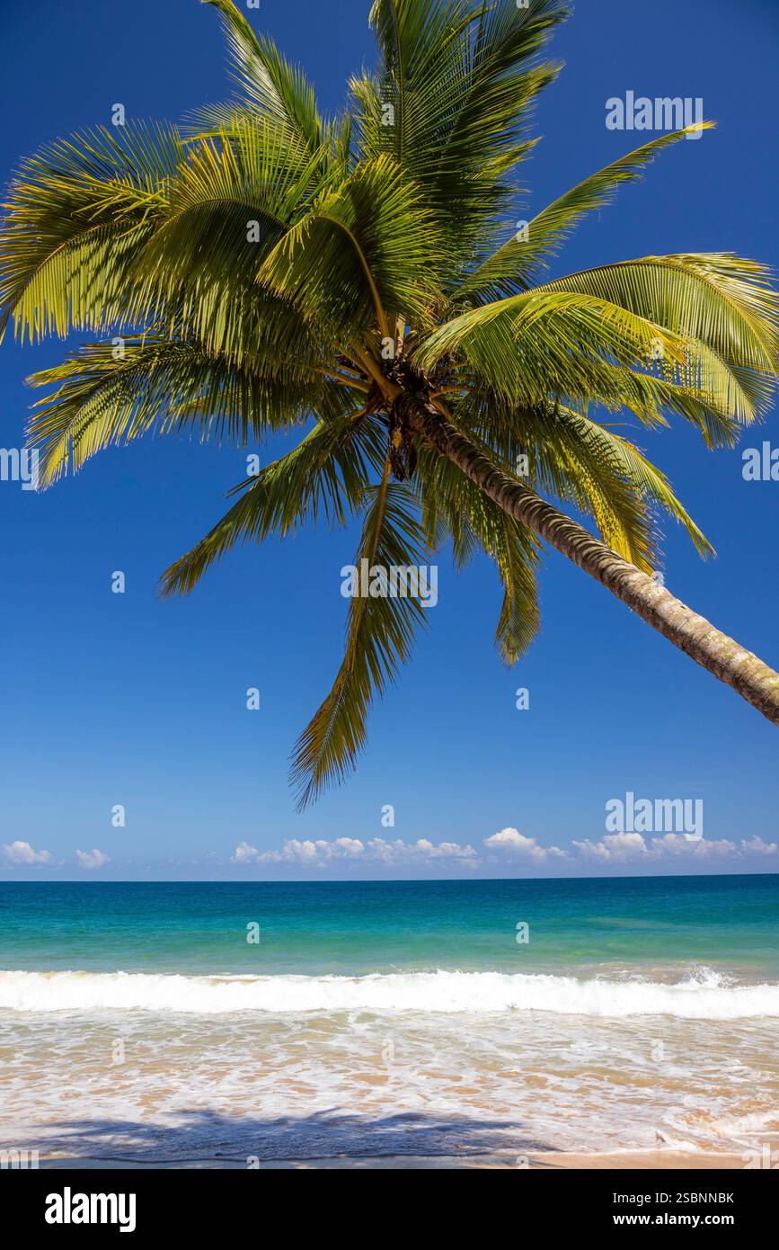 Bluff beach colon island hi-res stock photography and images - Alamy