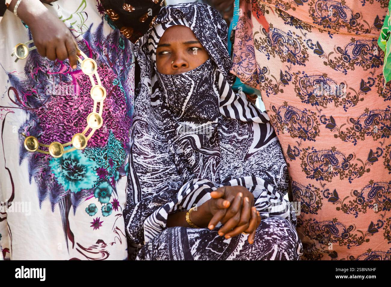 Chad, Ennedi, Wadi Hawar, Amdjarass, international festival of Saharan ...
