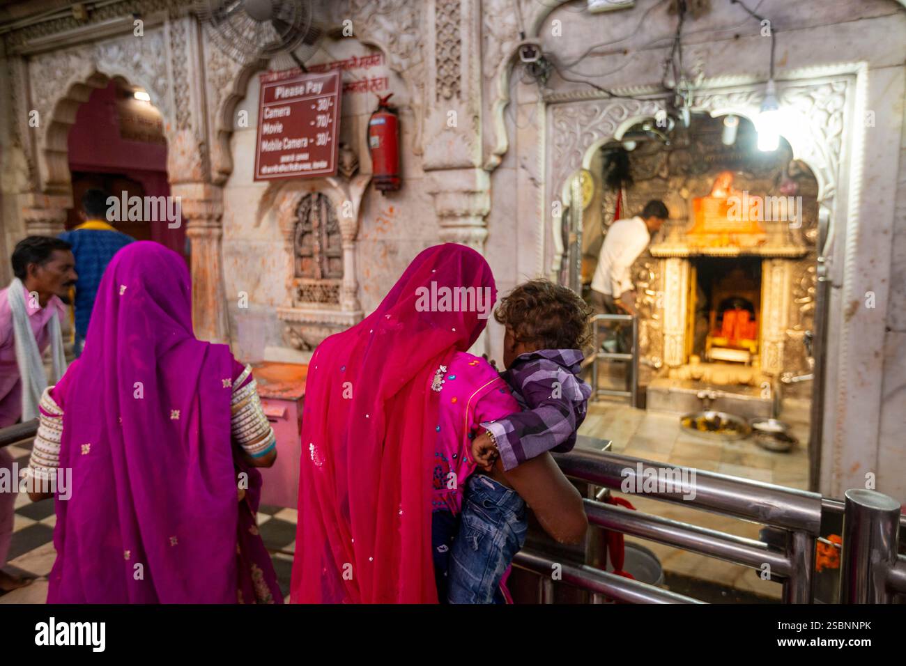 India, Rajasthan, Bikaner region, Deshnoke, Karni Mata temple also ...