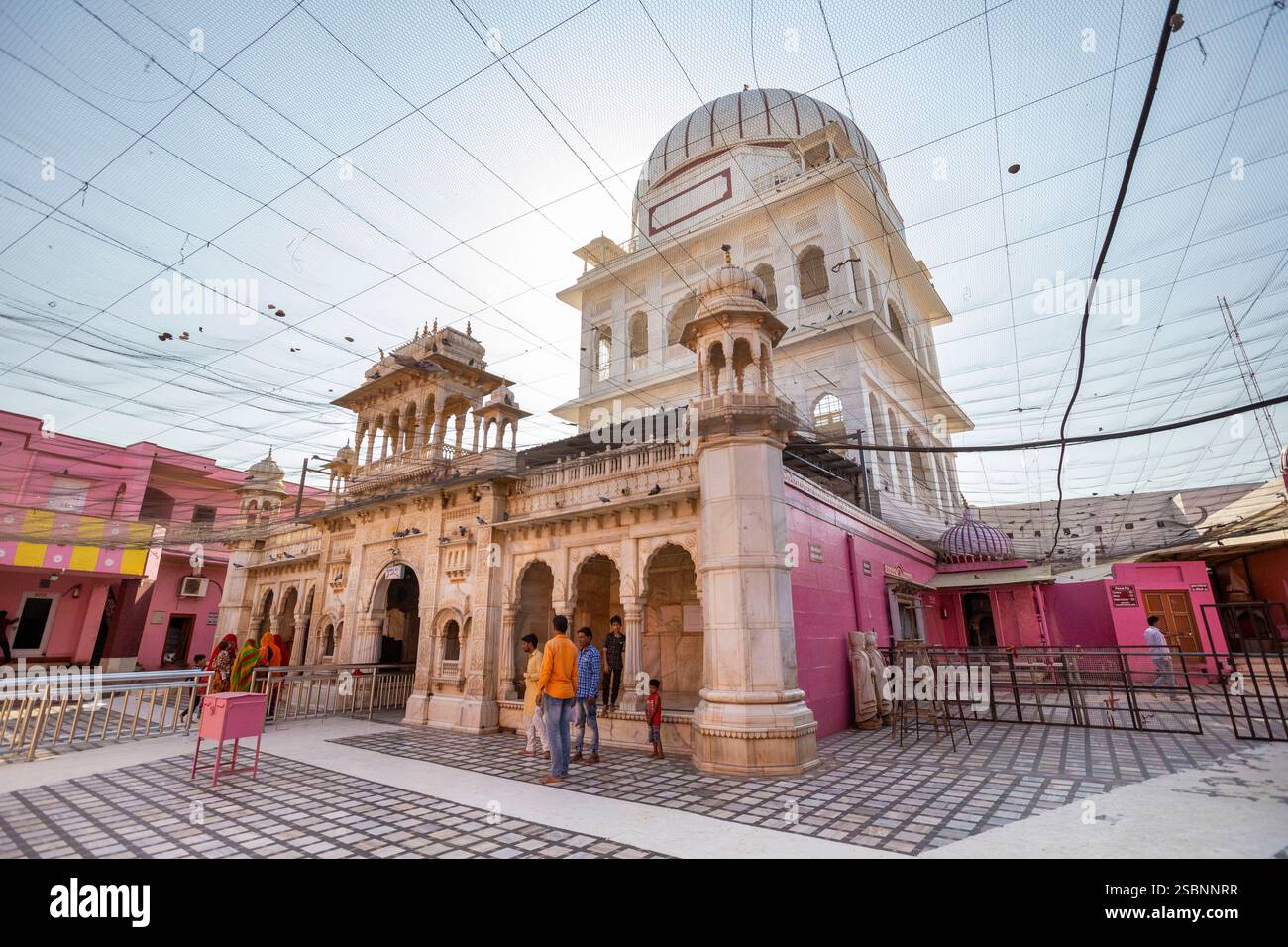 India, Rajasthan, Bikaner region, Deshnoke, Karni Mata temple also known as Rat Temple ...