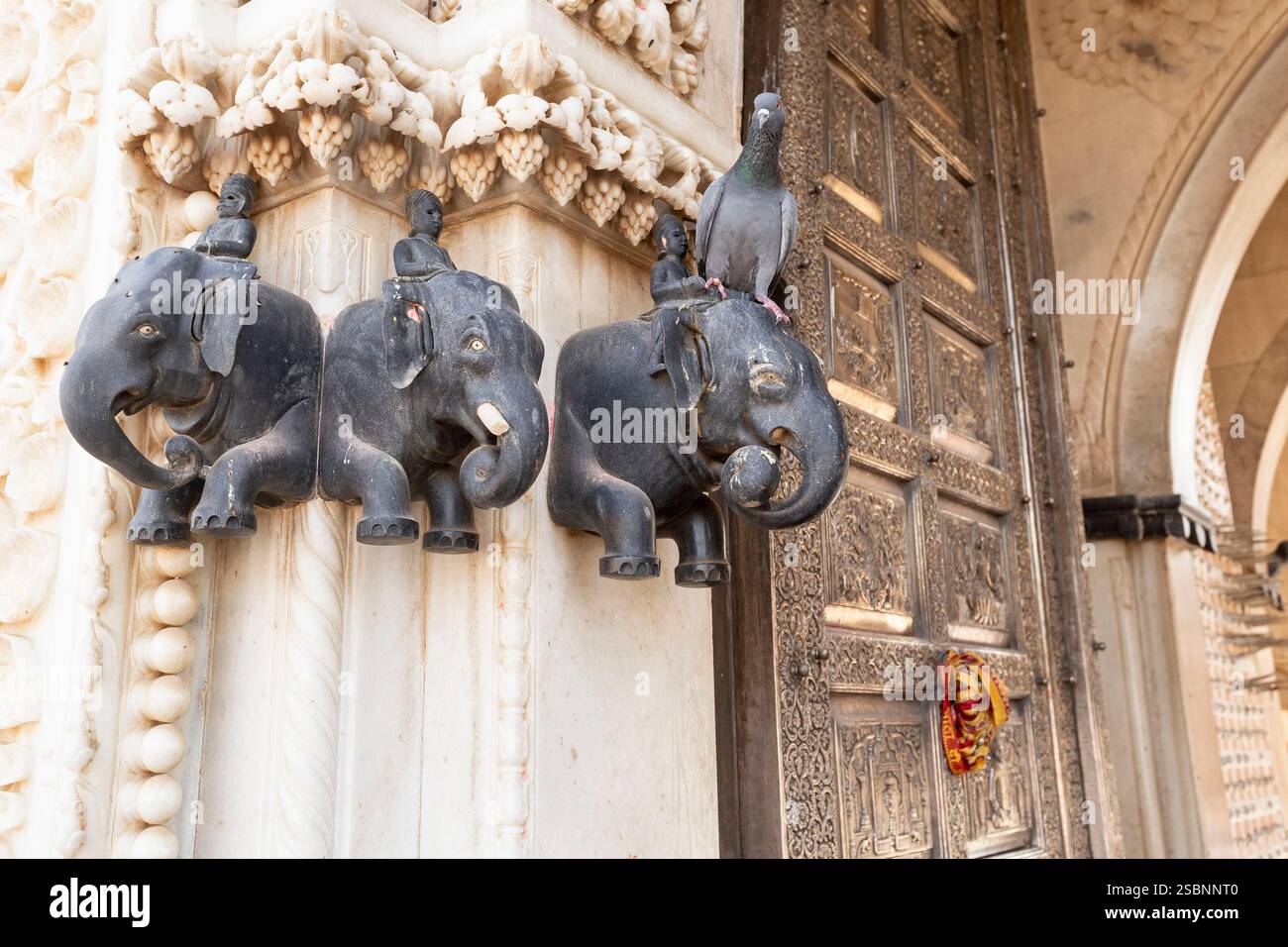 India, Rajasthan, Bikaner region, Deshnoke, Karni Mata temple also ...