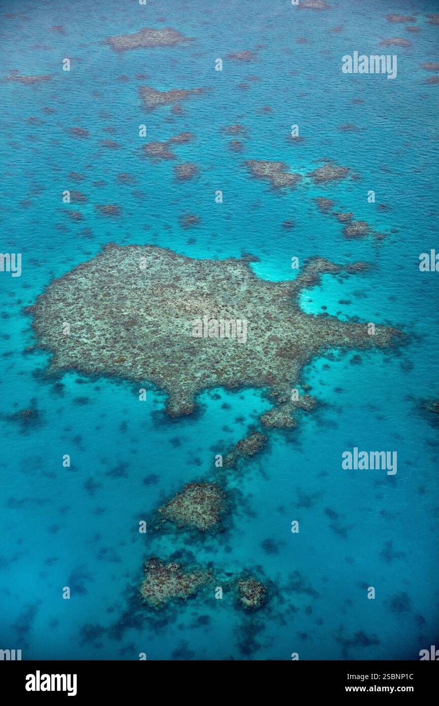 France, New Caledonia, South Pacific, Grande Terre, turtle shaped coral ...