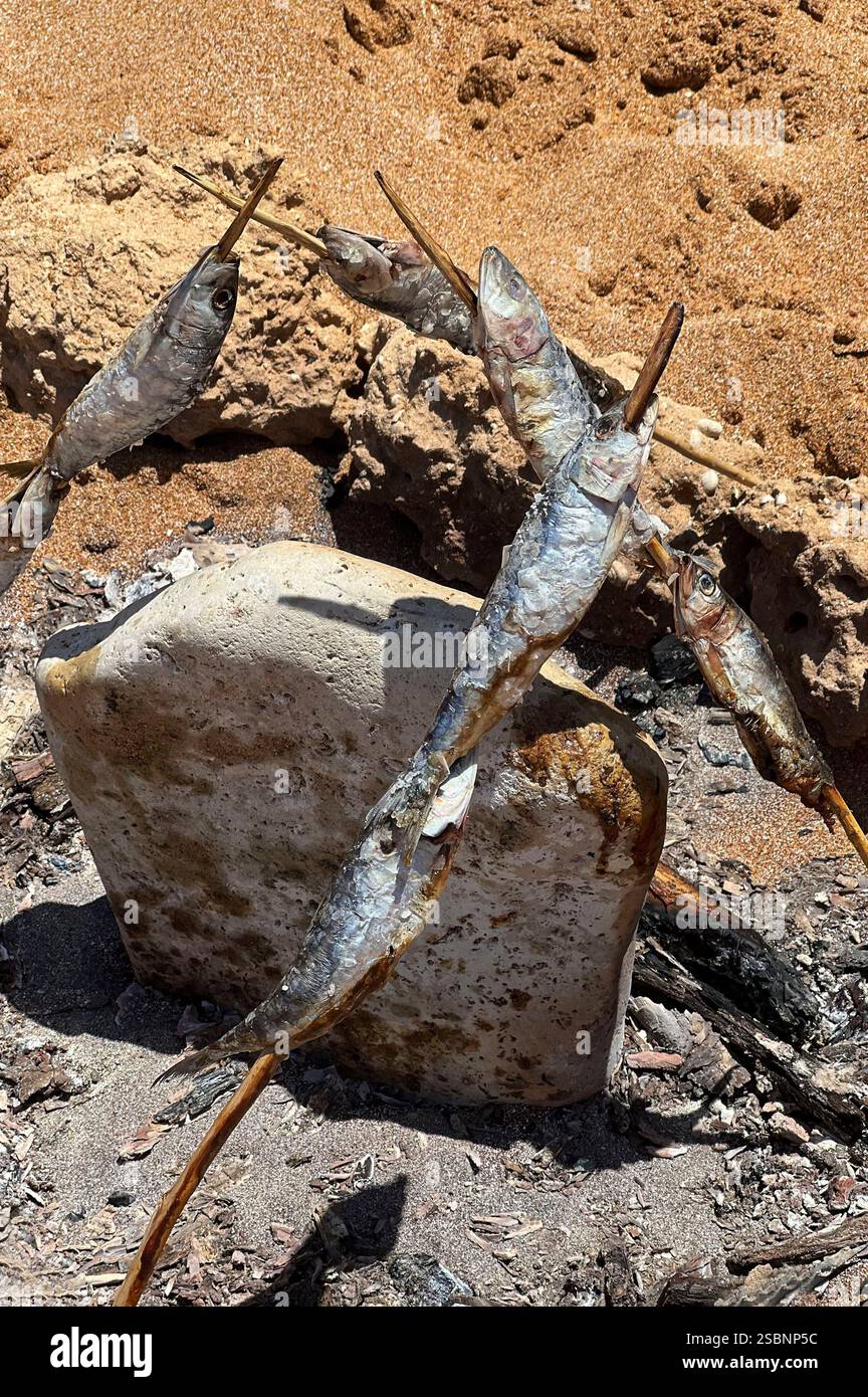 Morocco, Sidi Bennour province, Oualidia, sardines grilled over a wood ...