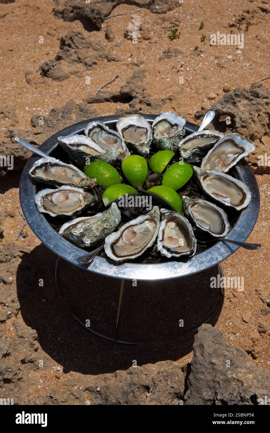Morocco, Sidi Bennour province, Oualidia, oyster platter on the sand ...