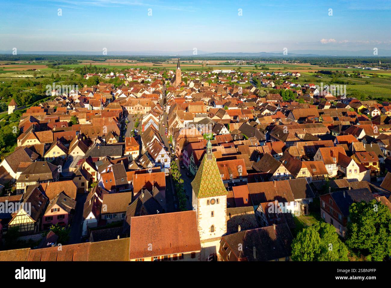 /France, Haut Rhin, Alsace wine road, Bergheim, medieval walled ancient ...