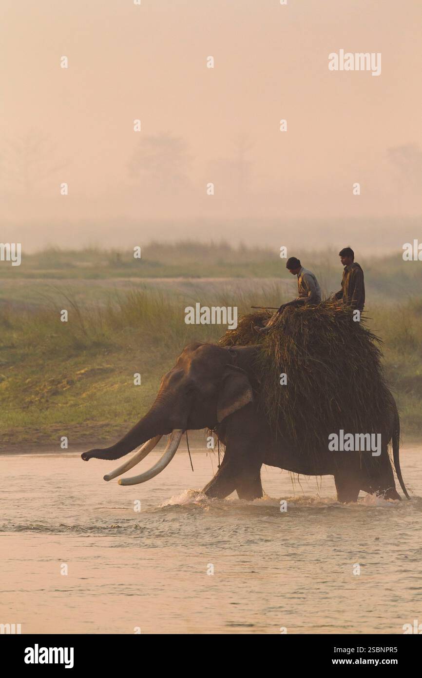 Nepal, Chitwan National Park, Sauraha, Rangers of the National Park ...